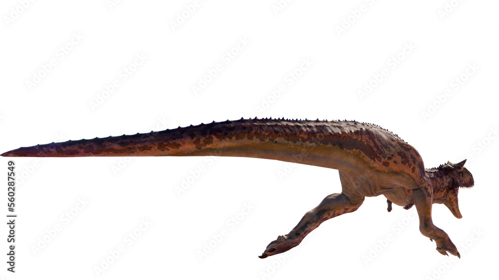 Carnotaurus dinosaur roaring on a blank background PNG ultra high ...