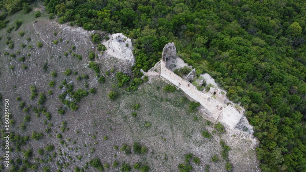 Devicky castle ruins, Burgruine Maidenburg a ruined 1200s fortress on a ...