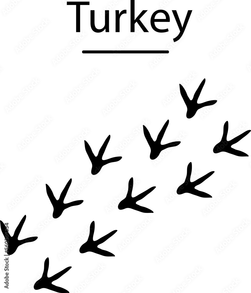 Turkey Track Drawing at Daryl Pulver blog