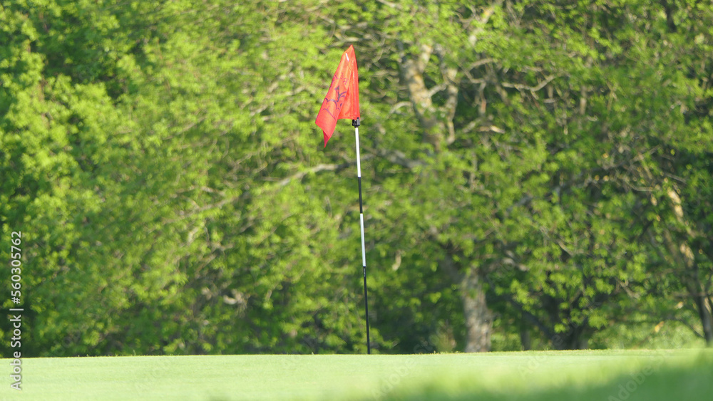 Golf flag pole at Radisson Roe Park Hotel & Golf Resort Limavady Derry ...