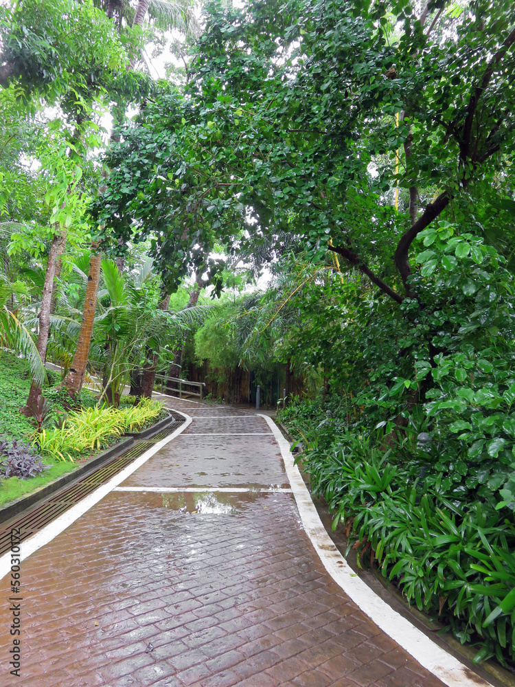 Bricked Pathway Through Tropical Garden Boracay Philippines Stock Photo ...