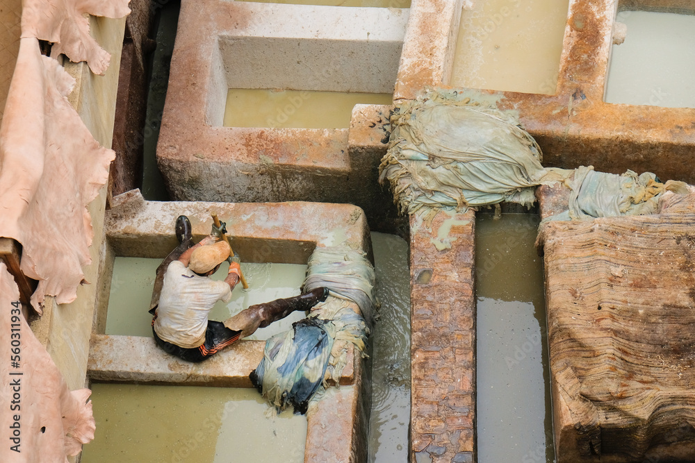 Fez, Morocco - worker soaks animal hides to soften in a mixture with ...