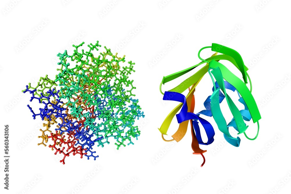 Recombinant human epidermal-type fatty acid binding protein. Crystal ...