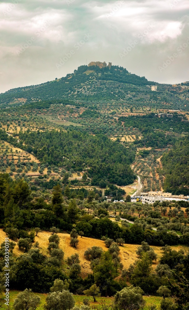 قلعة الربض- قلعة عجلون- كنيسة سيدة الجبل والبلدة القديمة- عين جنا ...