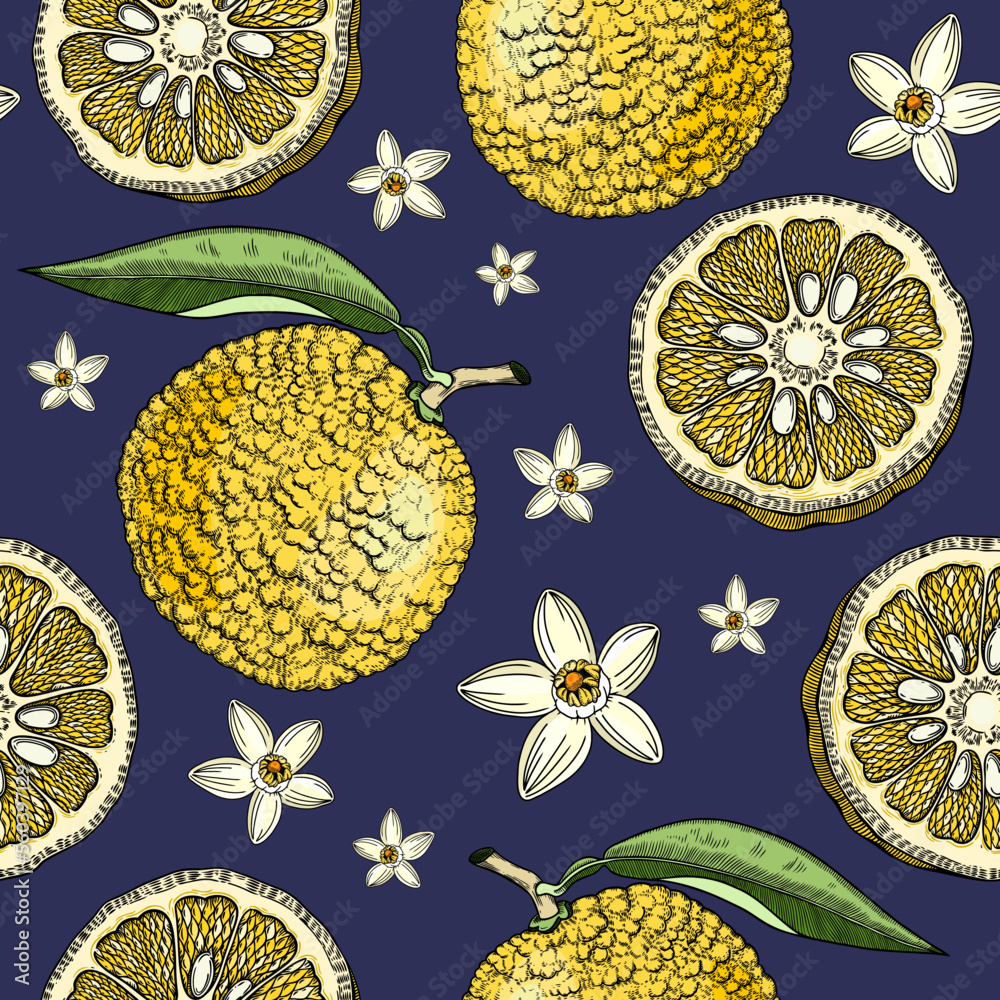 Sketched yuzu background with decorative fruit, leaves, and flowers in ...