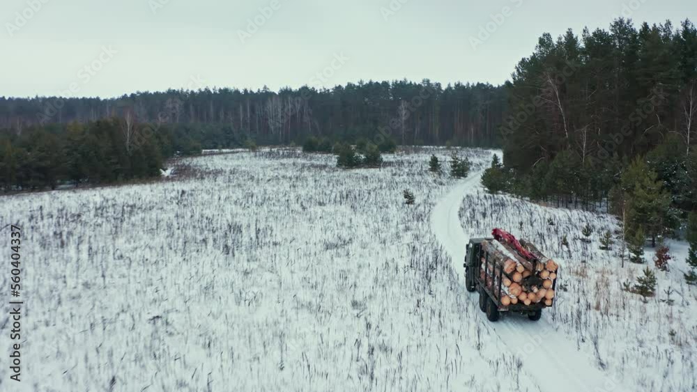 Logging truck transports felled trees - aerial view. Environmental and ...