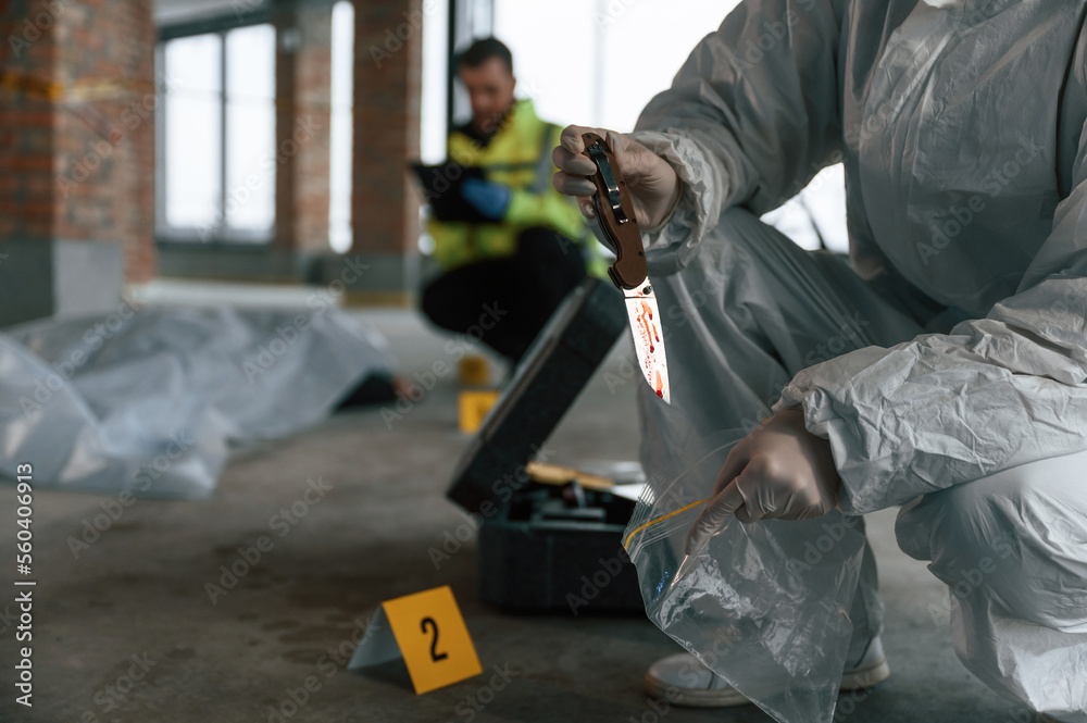 Putting the knife into bag. Detectives are collecting evidence in a ...