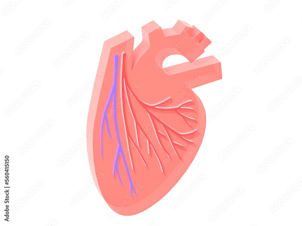 3d illustration of the heart with veins and coronary arteries. Flat ...
