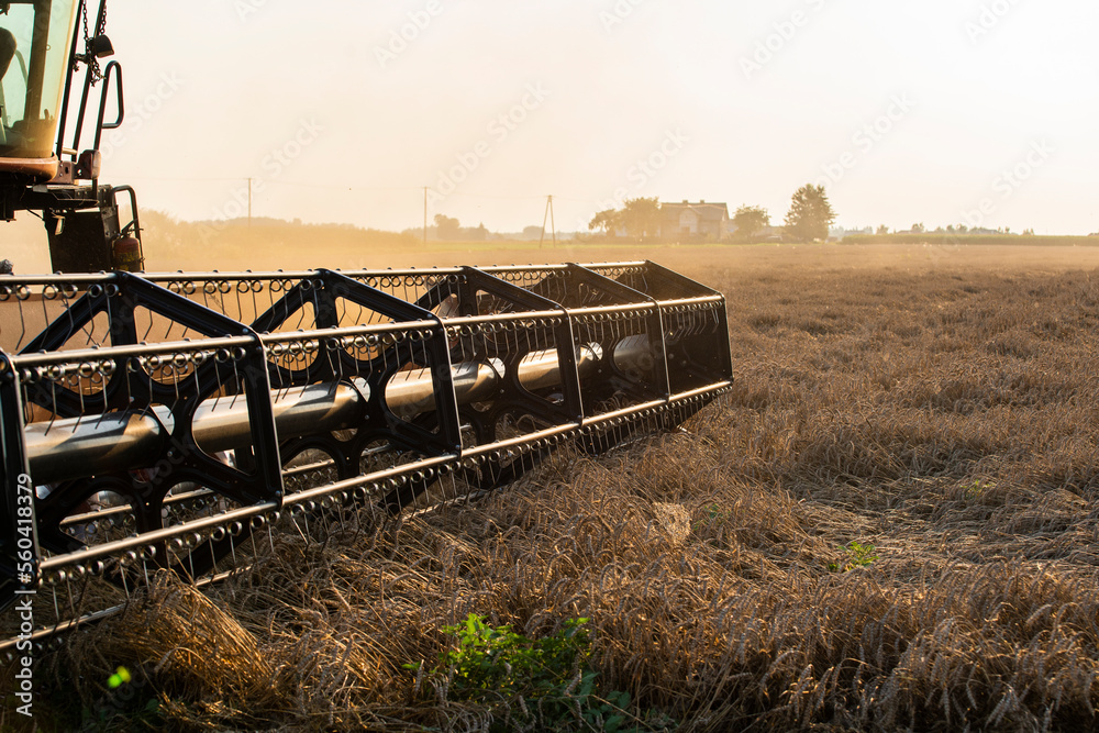 grain harvester, wheat harvest, wheat harvester at work, harvester in ...
