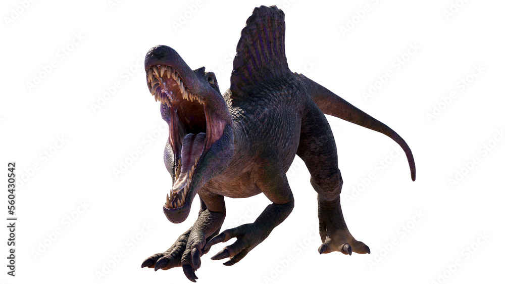 Spinosaurus roaring dinosaur isolated on blank background PNG Stock ...