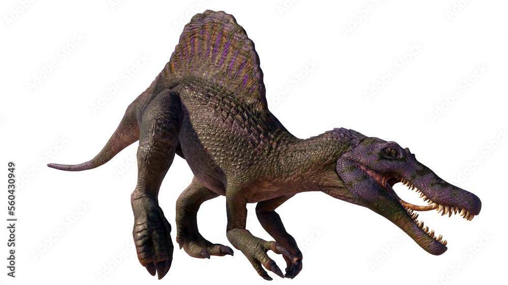 Spinosaurus roaring dinosaur isolated on blank background PNG Stock ...