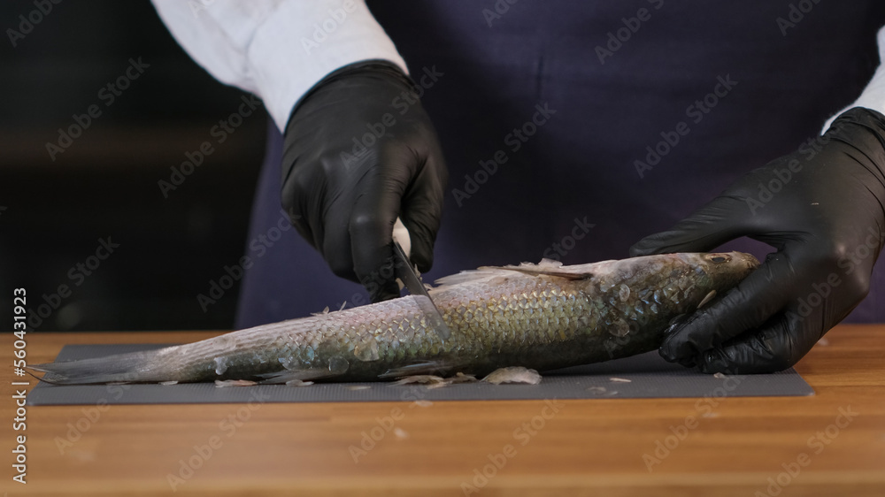 Hands scrub scales of a wild mullet fish. Peel fish from scales with ...