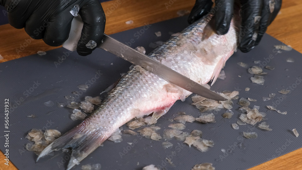 Hands scrub scales of a wild mullet fish. Peel fish from scales with ...