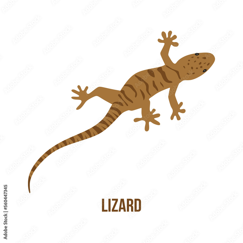 Lizard flat illustration. Vector animal isolated on white background ...
