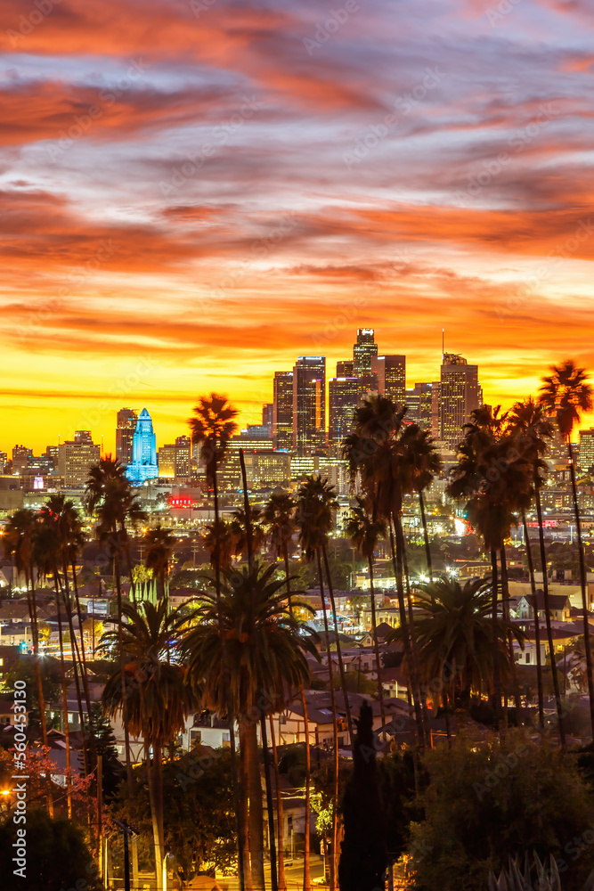 View of downtown Los Angeles skyline with palm trees at sunset portrait ...