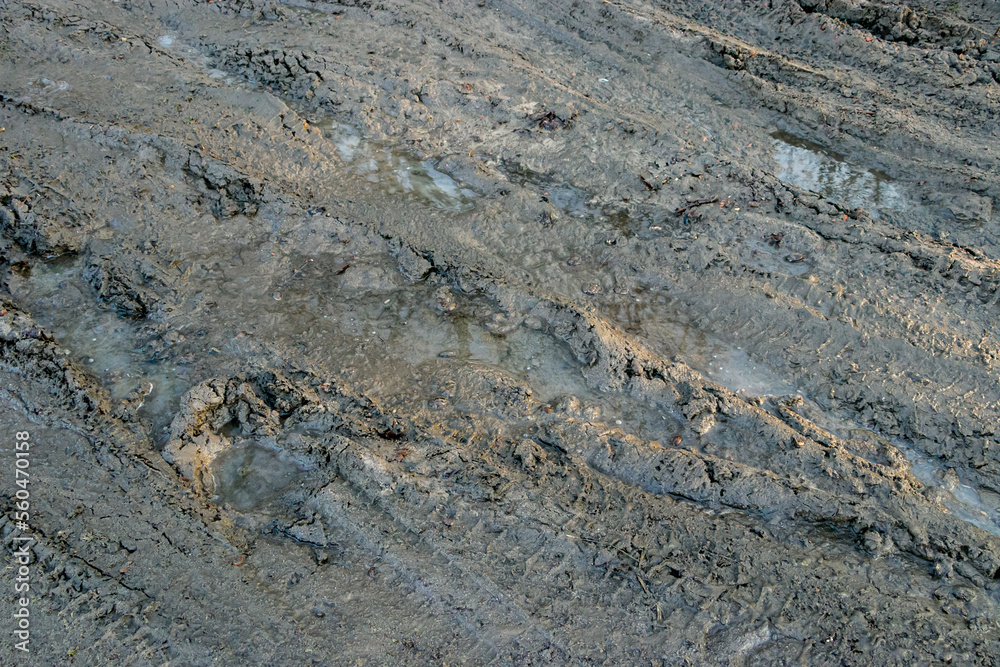 Dirt road after heavy rain. Traces of car tires on a dirt road after ...