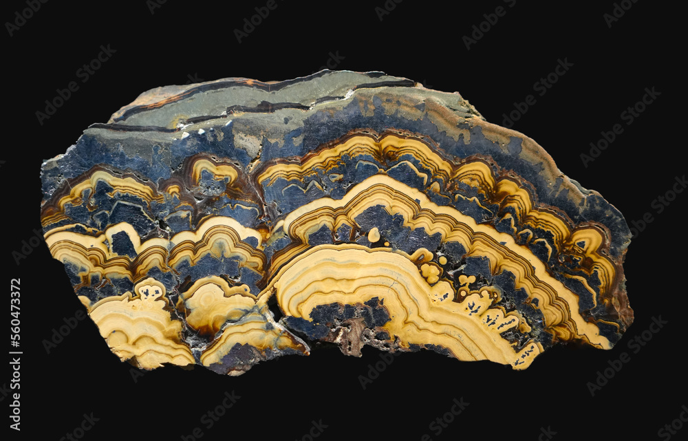 cross section of a sphalerite stone Stock Photo | Adobe Stock
