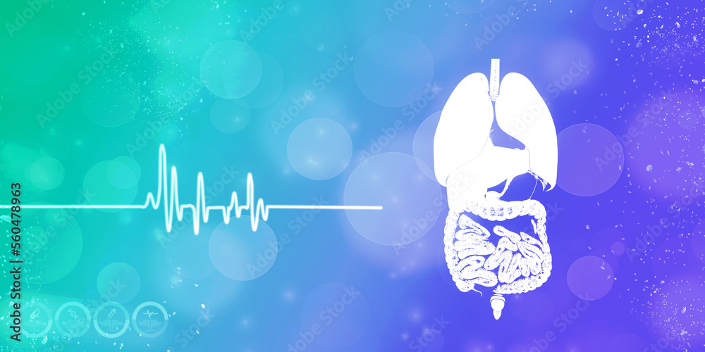 2d illustration human digestive system Stock Illustration | Adobe Stock