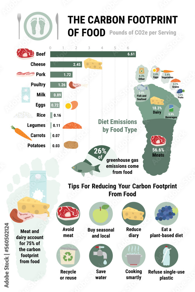 Carbon footprint of food infographic. Tips for reducing your personal ...