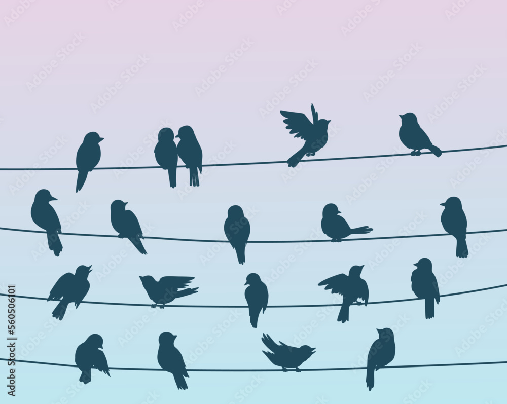 Birds On A Line Silhouette