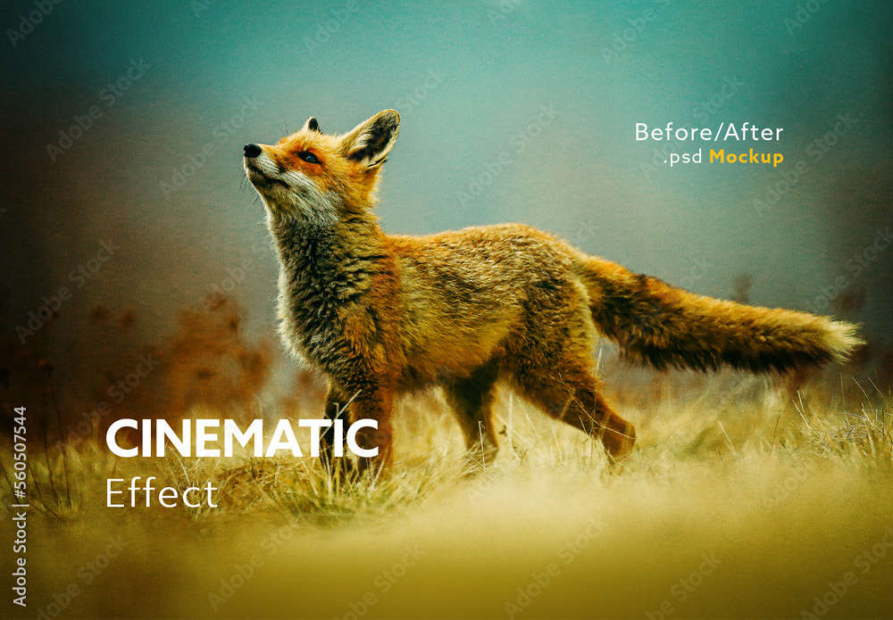 Cinematic Before and After Photo Effect Stock Template | Adobe Stock