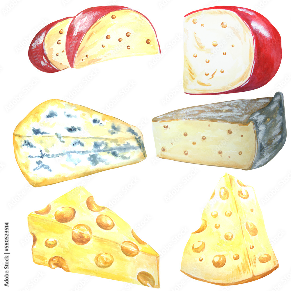 Watercolor drawing of fresh, natural cheese. Set. Isolated on white ...