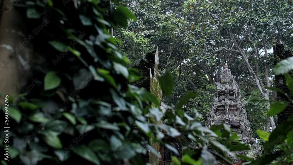 an ancient temple in the rainforest of Indonesia Stock Video | Adobe Stock