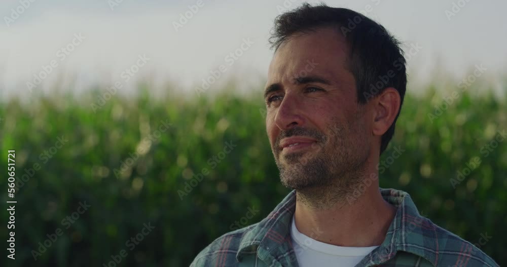 Portrait of a Happy Man Posing in a Green Field Full of Corn Crops and ...