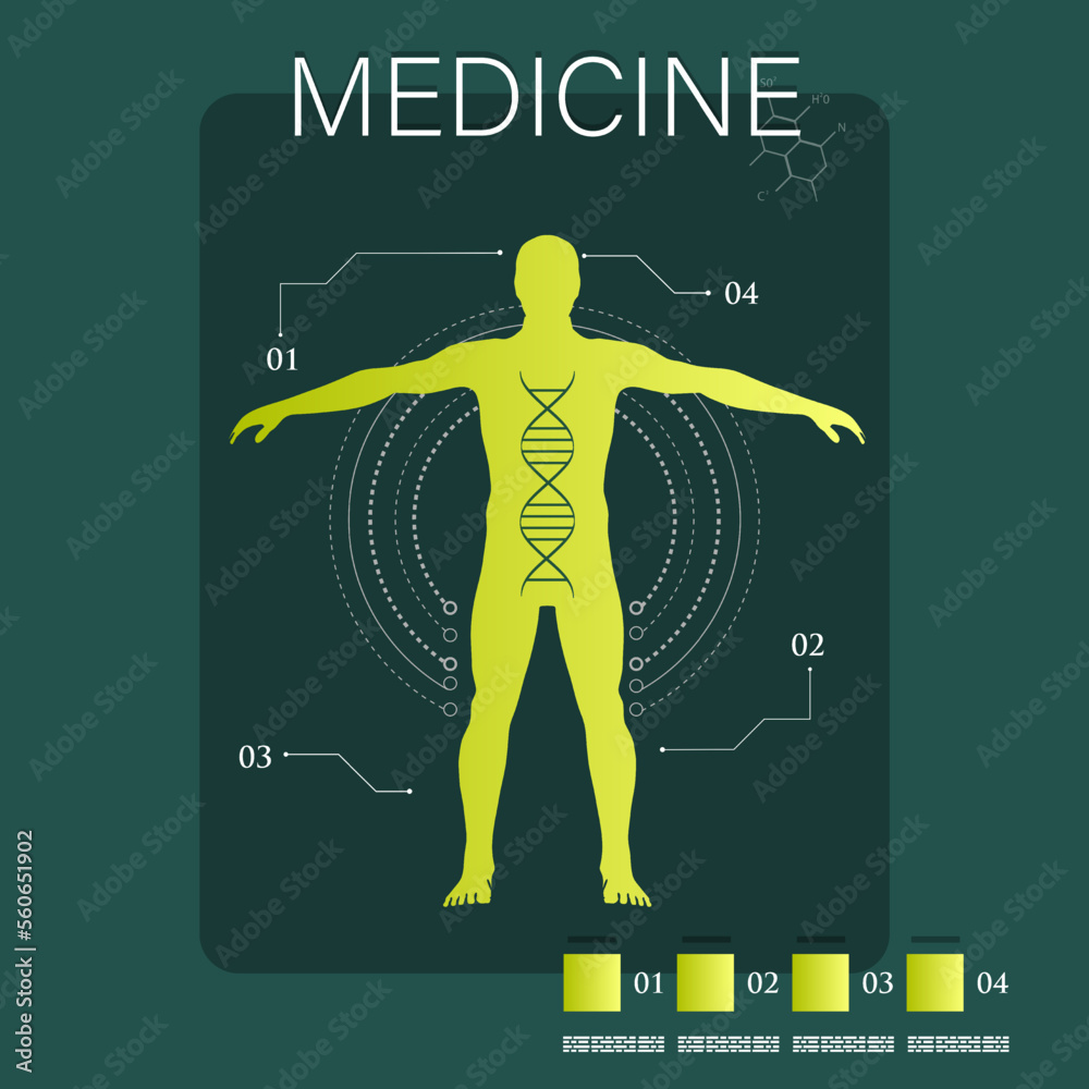 Infographics Human Body Anatomy. concept health, medicine. Stock Vector ...