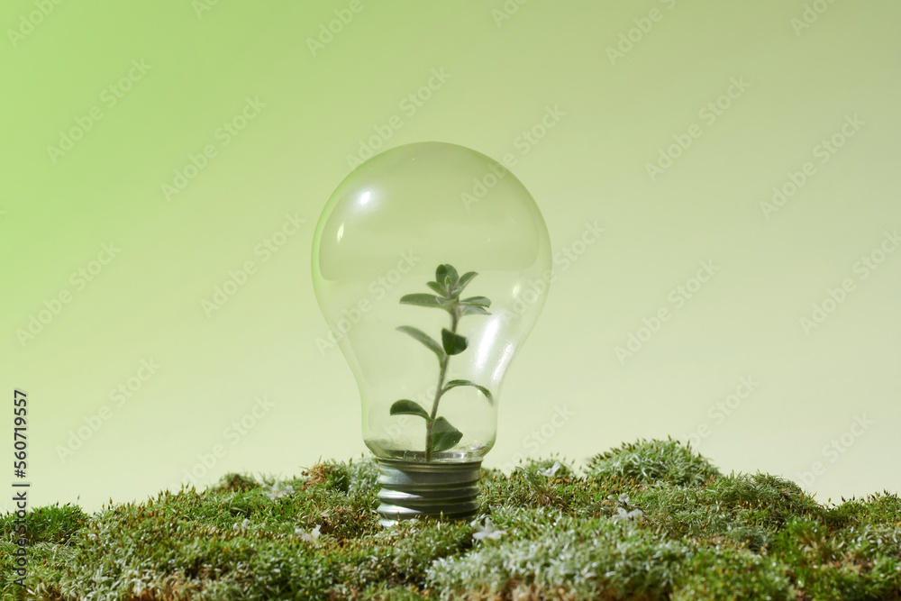Light bulb with green plant as a concept of eco energy Stock Photo ...