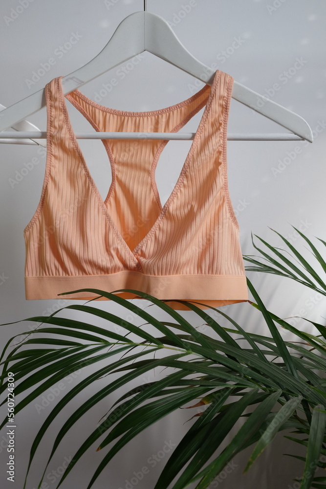 Peach color lingerie on clothes hanger Stock Photo | Adobe Stock