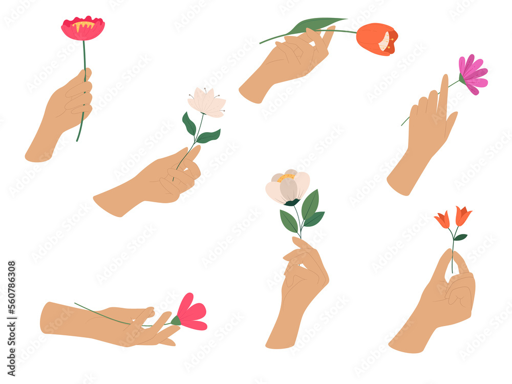 Collection of hands holding a flowers. Various hand poses. Flat ...