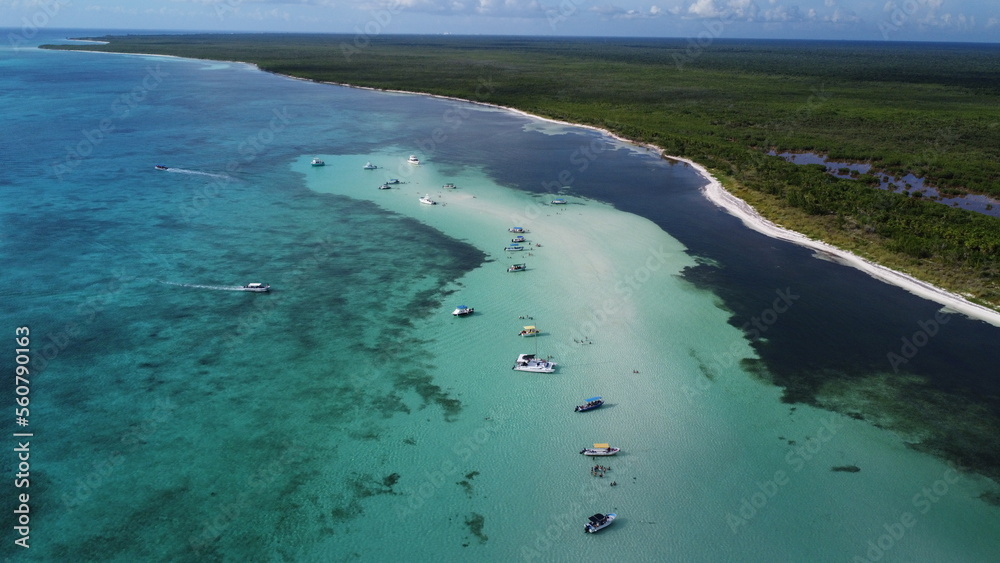 El Cielo Cozumel sandbar which means heaven on earth is one of the most ...