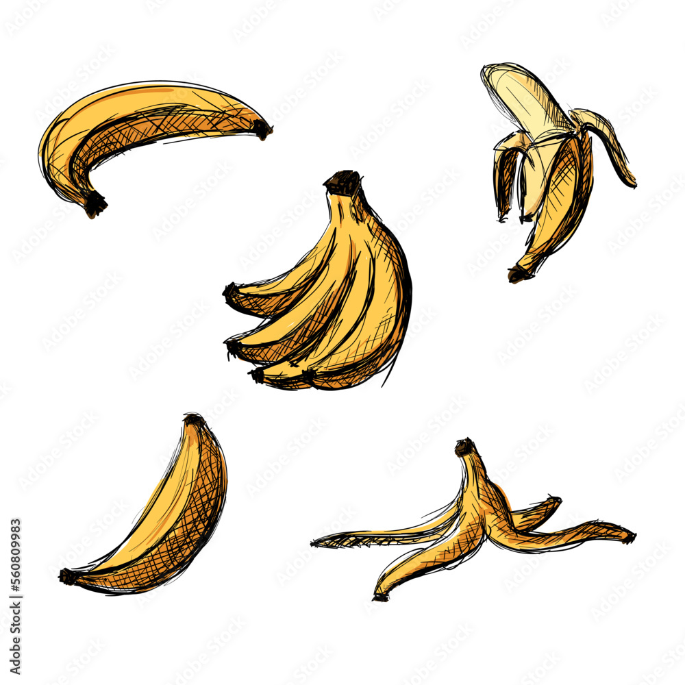 Colored bananas sketch set. Hand drawn illustration. Bunch of bananas ...