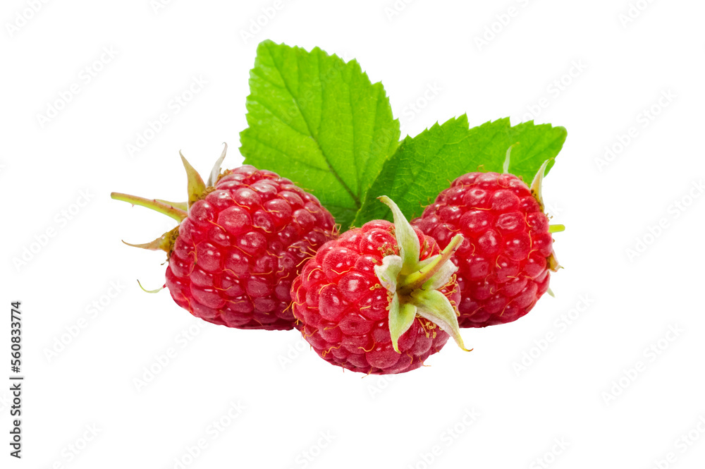 Group of fresh raspberries with leaves isolated on a transparent ...