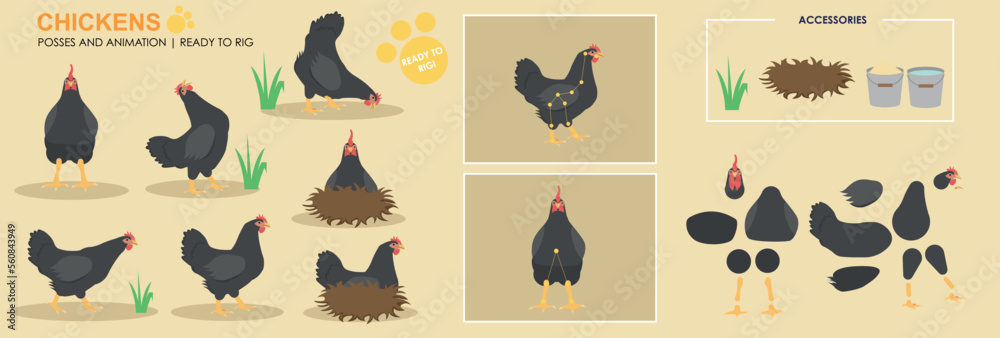 Cute black Chicken character hen ready to animate, multiple angles and ...
