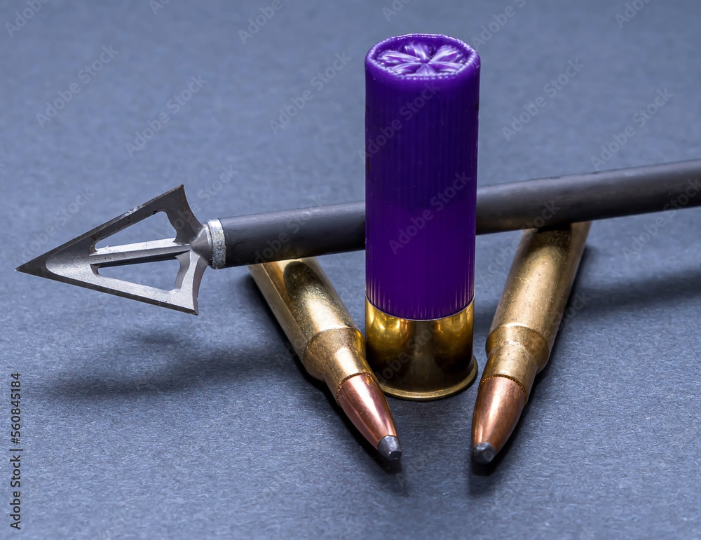 12 gauge shotgun shell, 12 gauge, closeup, bullets for hunting, purple ...