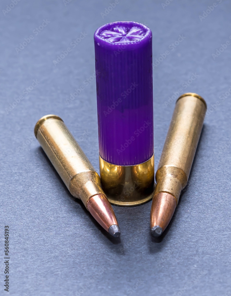 Two 30.06 caliber rifle bullets with a purple 12 gauge shotgun shell on ...