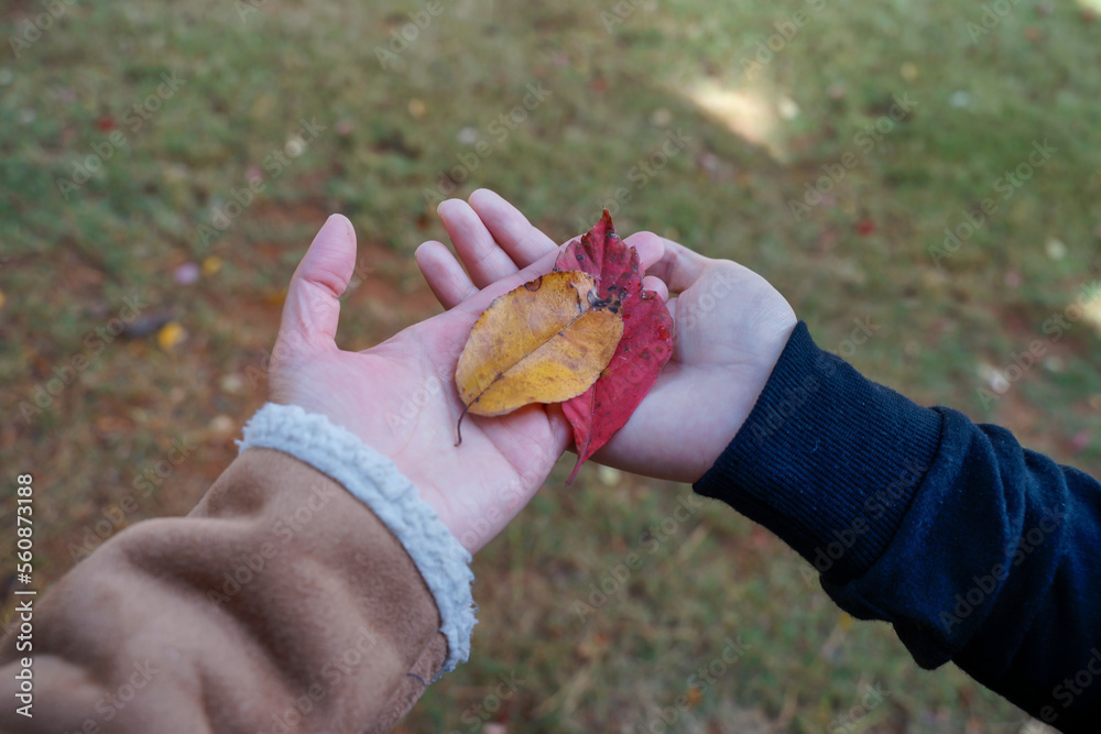 In the US, fall is a well liked season for couples to hang out ...