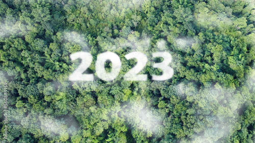Forest with number 2023 Clouds, Environmental technology concept ...
