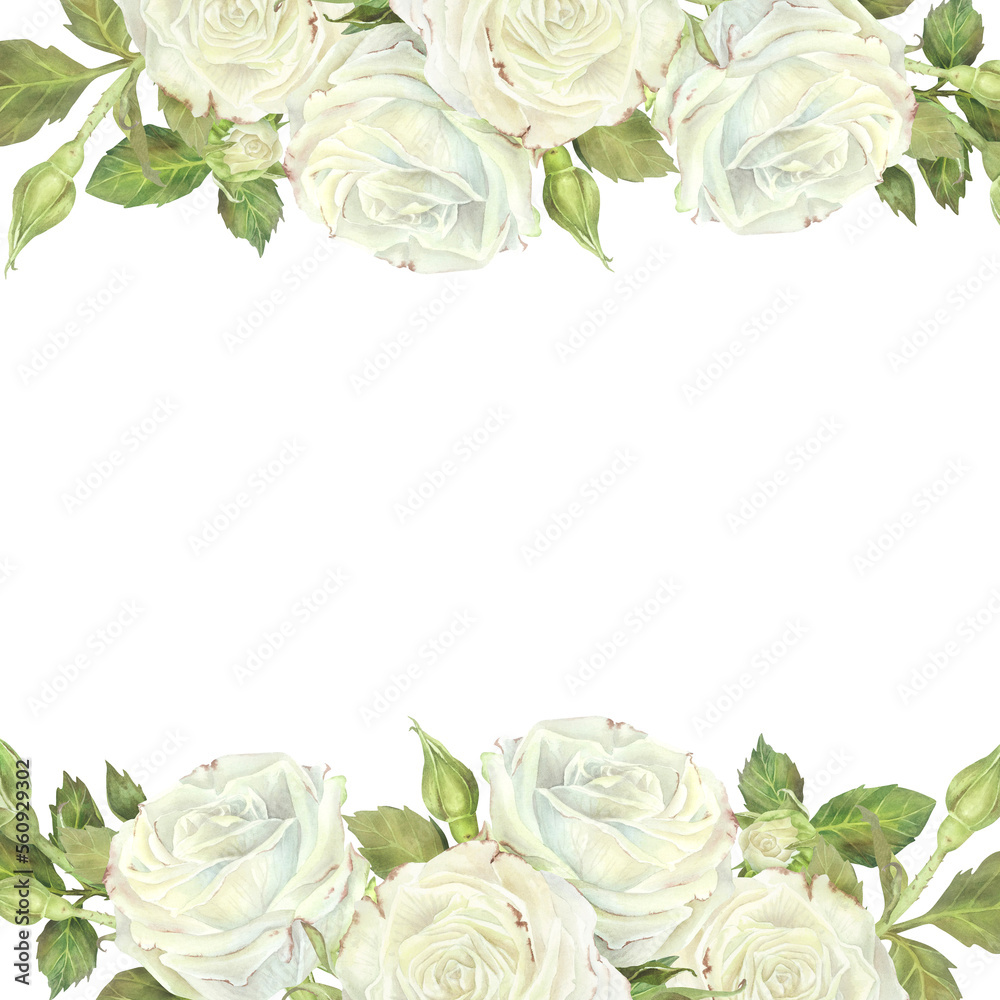 Square frame with white roses on top and bottom. Watercolor ...