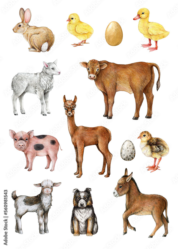 Farm animals and birds hand drawn illustration vintage style set. Cow ...
