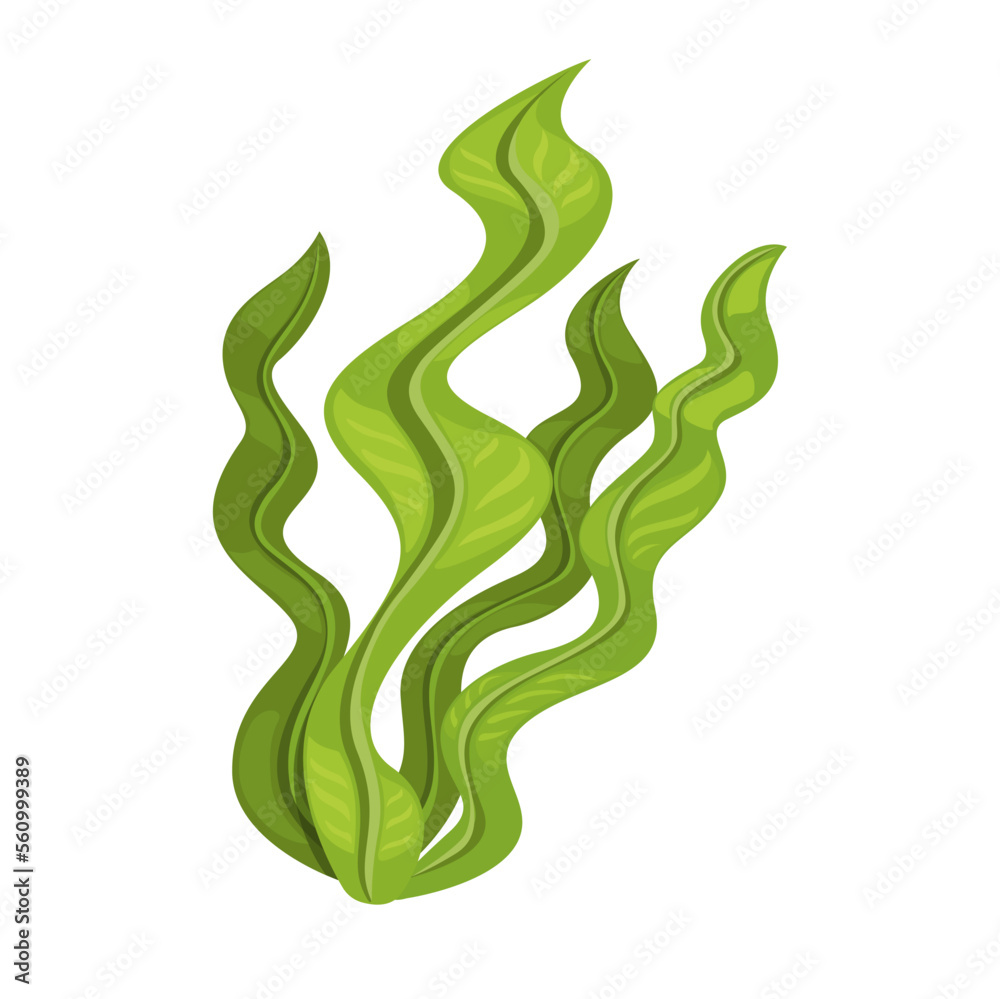Seaweed plant symbol cartoon illustration vector Stock Vector | Adobe Stock Seaweed plant symbol cartoon illustration vector Stock Vector | Adobe Stock
