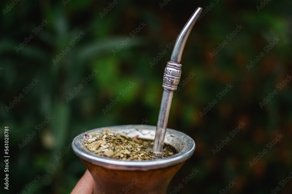 Compartiendo un mate tradicional argentino y uruguayo con yerba mate en ...