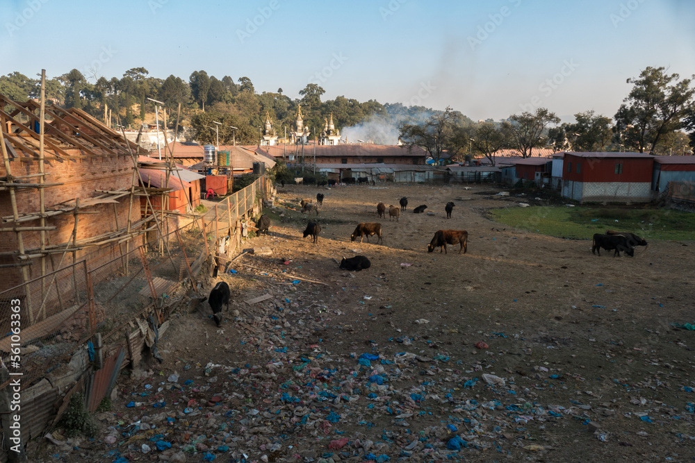 Urban village near Pashupatinath Temple, is the capital and most ...