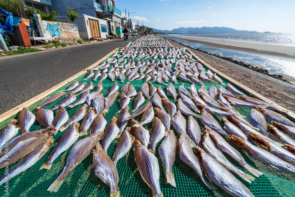 Workers dry fish in fishing village in Phuoc Tinh beach, Vung Tau ...