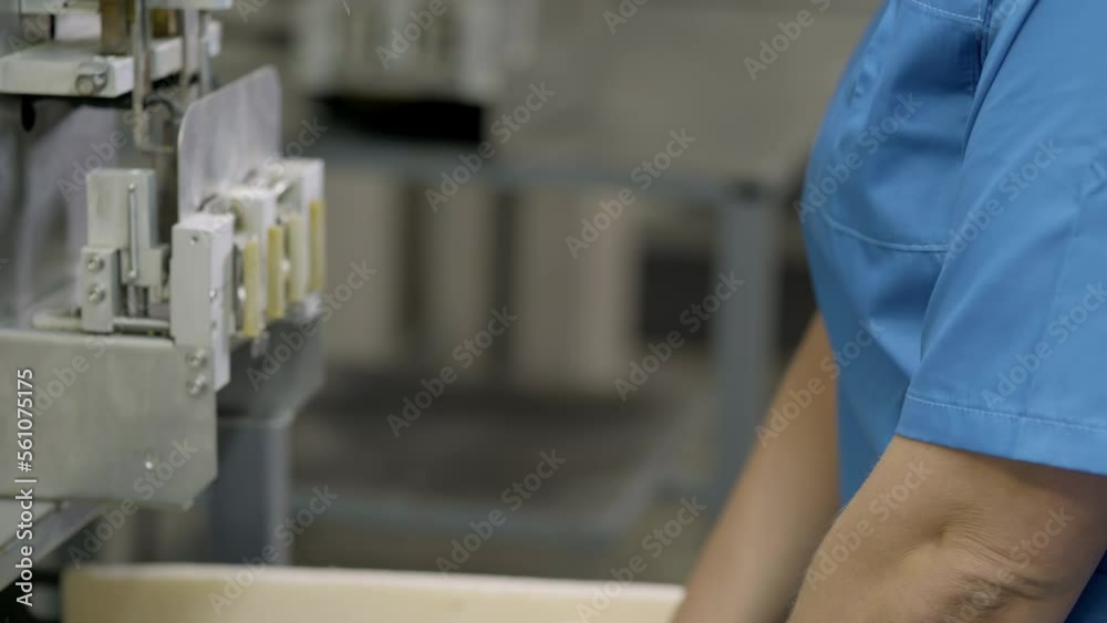 Vídeo do Stock: Using an mechanical machine to trim the beaks of farmed ...