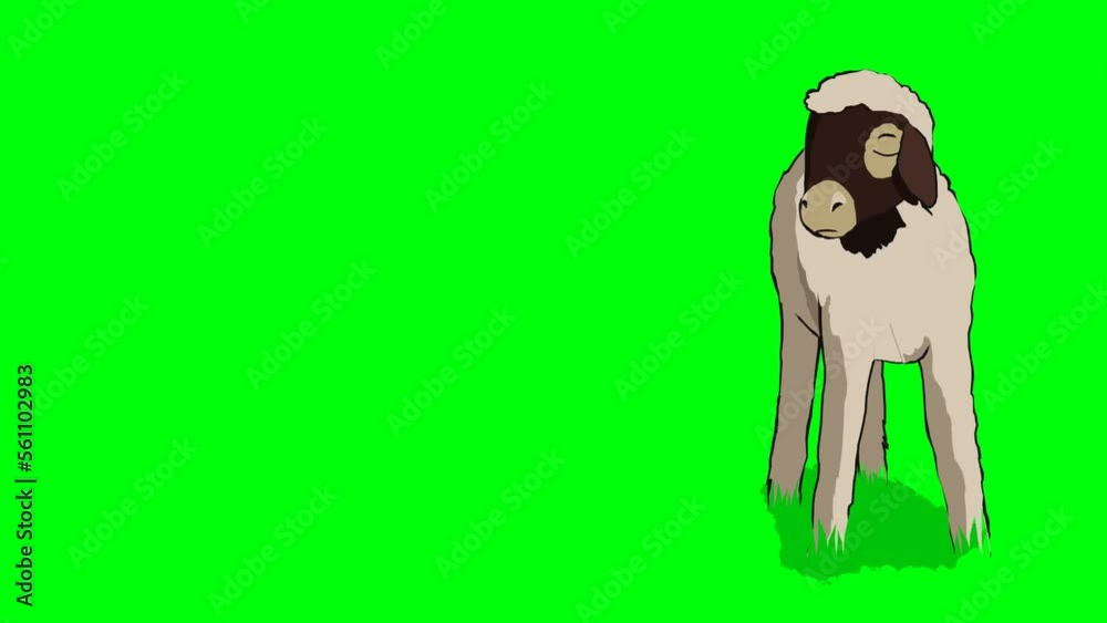 (Green screen animation) 2D character of a baby lamb walking and ...