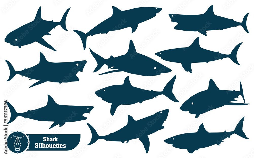 Vector collection of animal shark silhouette in different poses Stock ...