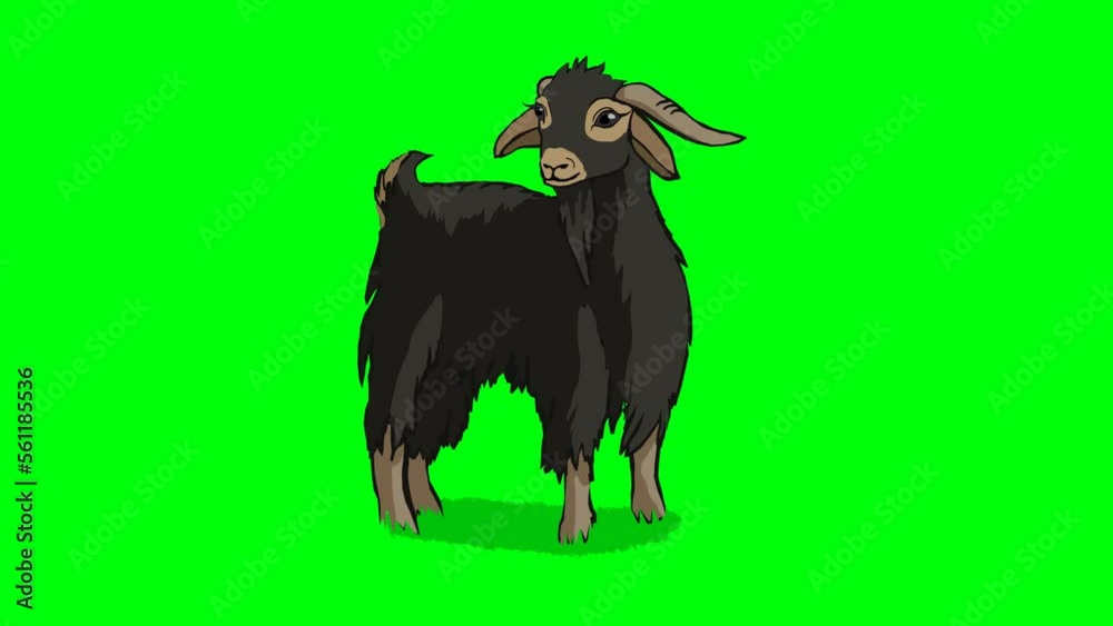 (Green screen animation) 2D character cycle of a grazing goat character ...